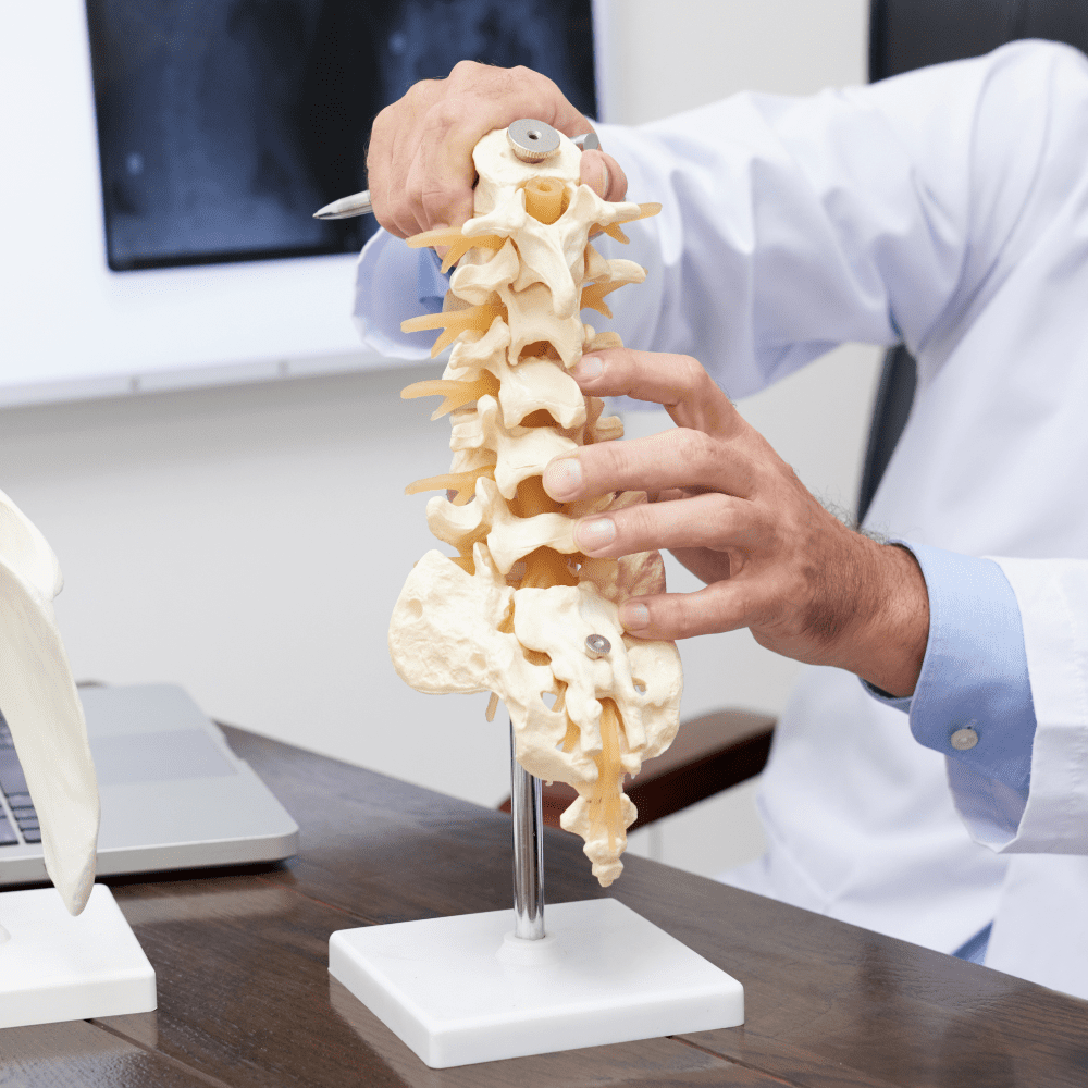 Chiropractic - So Healthy